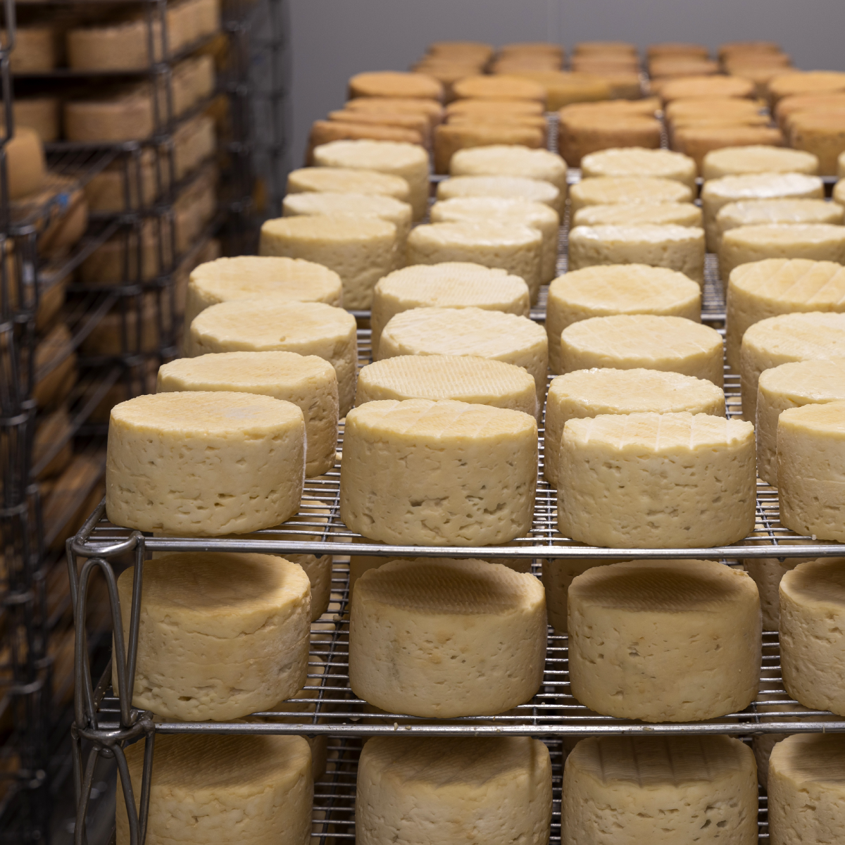 » Batch Traceability 360 update: Quality Control