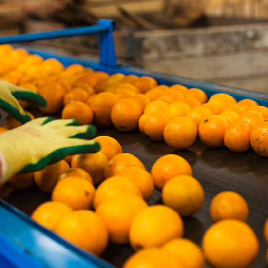 » Revision Status in CompuTec ProcessForce